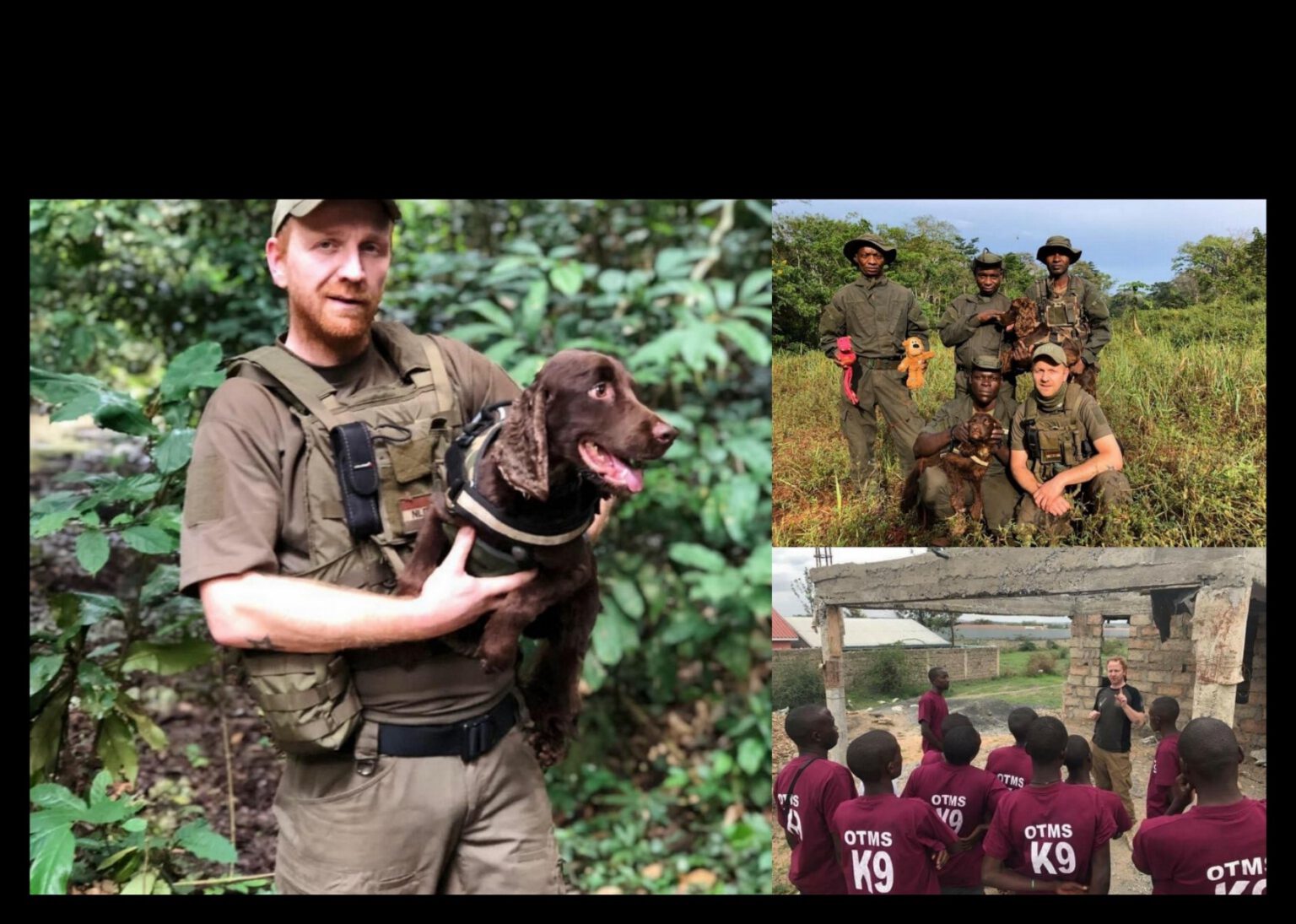 Wildlife Solutions – Detection Dog Specialists Combatting Wildlife Crime